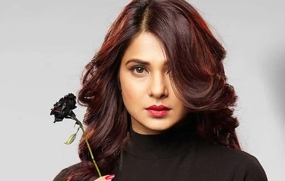 Beyhadh Season 3: Jennifer Winget’s Iconic Comeback with Mohsin Khan!